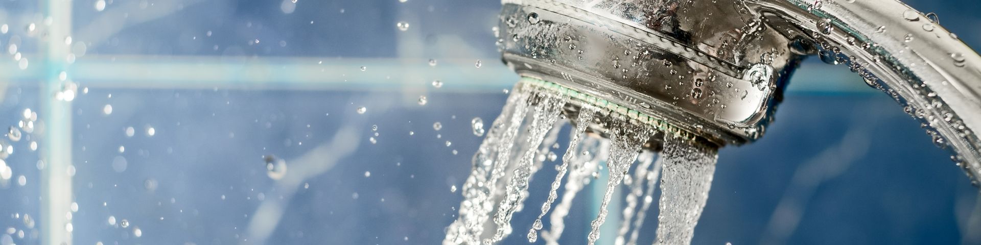 Home » Fermit NZ Ltd